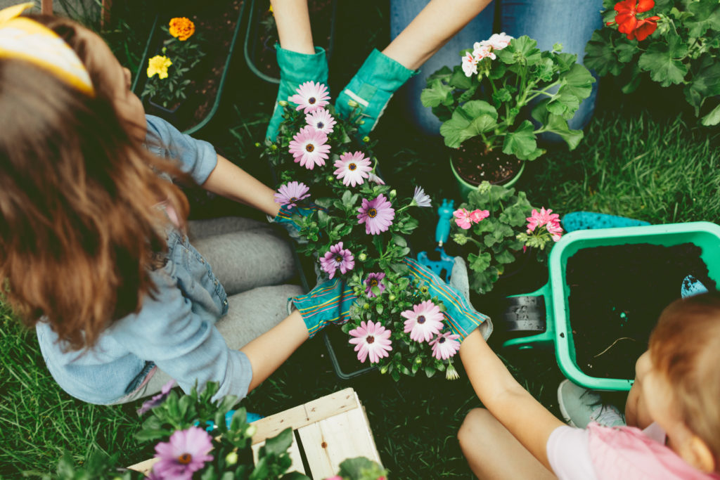 Gardening tips for backyard fun | Edge Early Learning